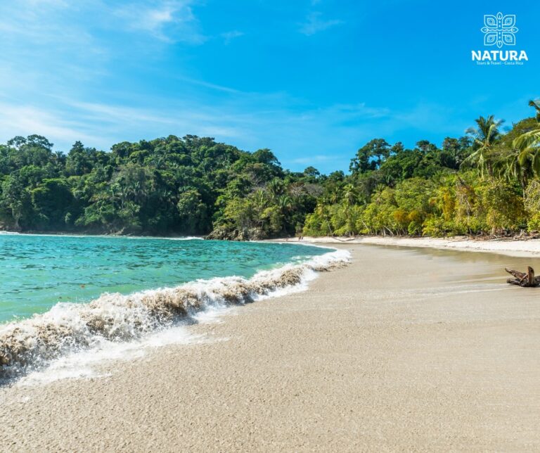 Las 5 Mejores playas en Costa Rica - Natura Tours Costa Rica